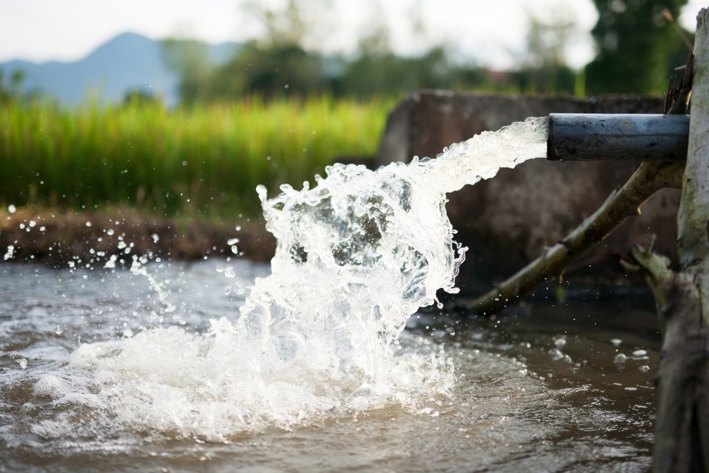 4 Ways to Save on Your Farm's Water Bills | Banded Mongoose